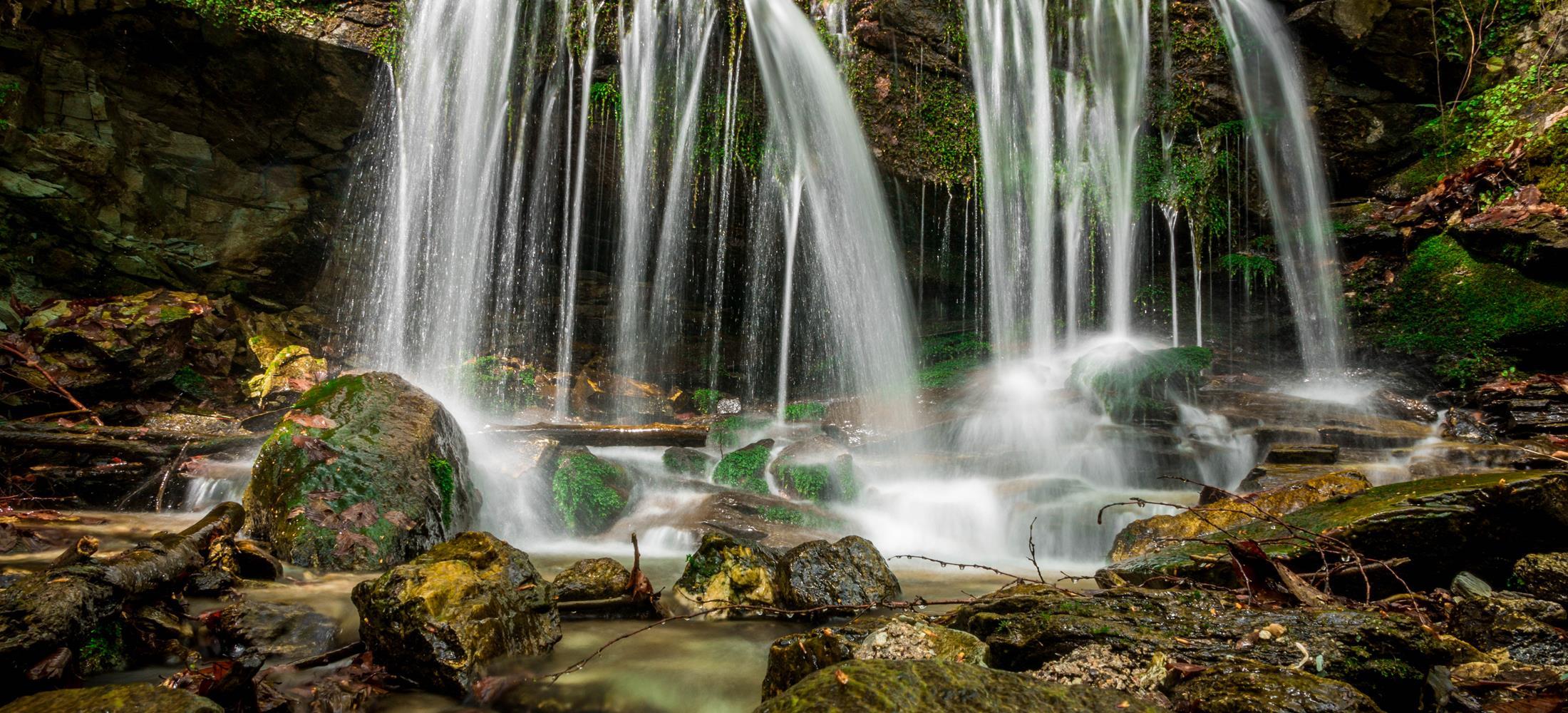 Multimedija za info centar Park prirode Papuk - Pandopad